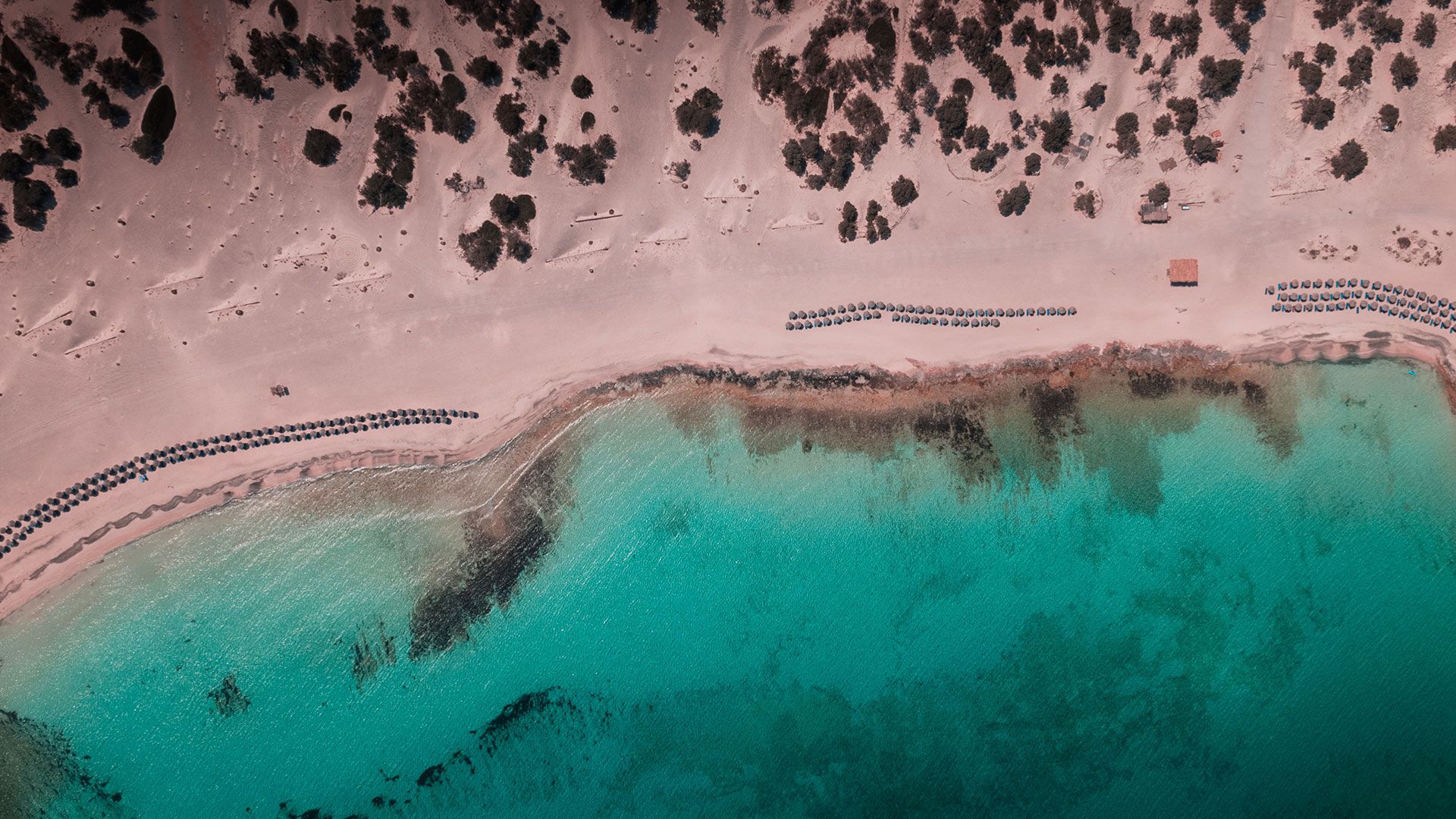 A boat trip to Chrissi, Crete’s golden island | Discover Greece