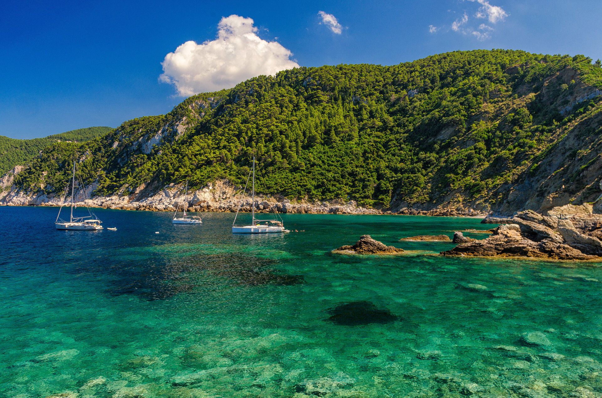 Alonissos | Holidays in Thessaly & Sporades | Discover Greece