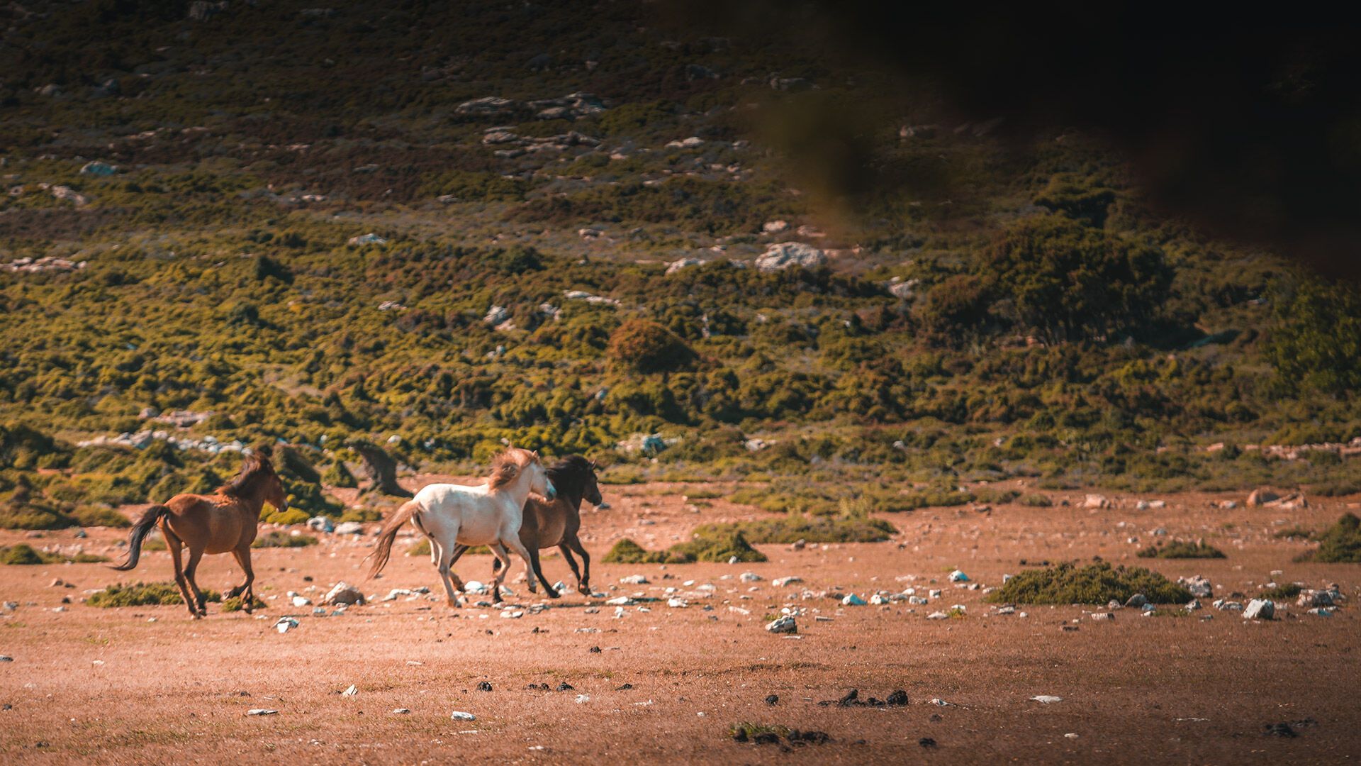 11 ways to connect with nature in Central Greece | Discover Greece
