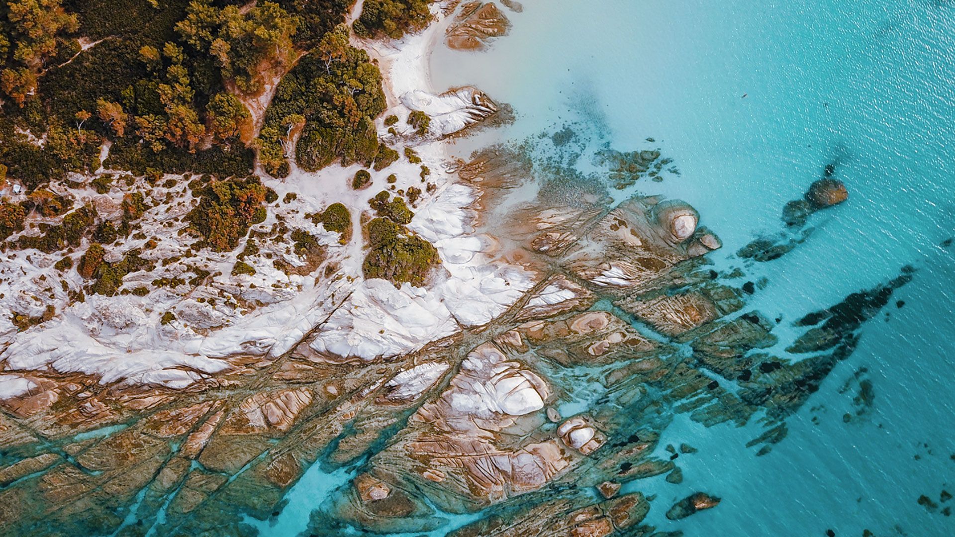 Halkidiki - Complete Travel Guide | Discover Greece