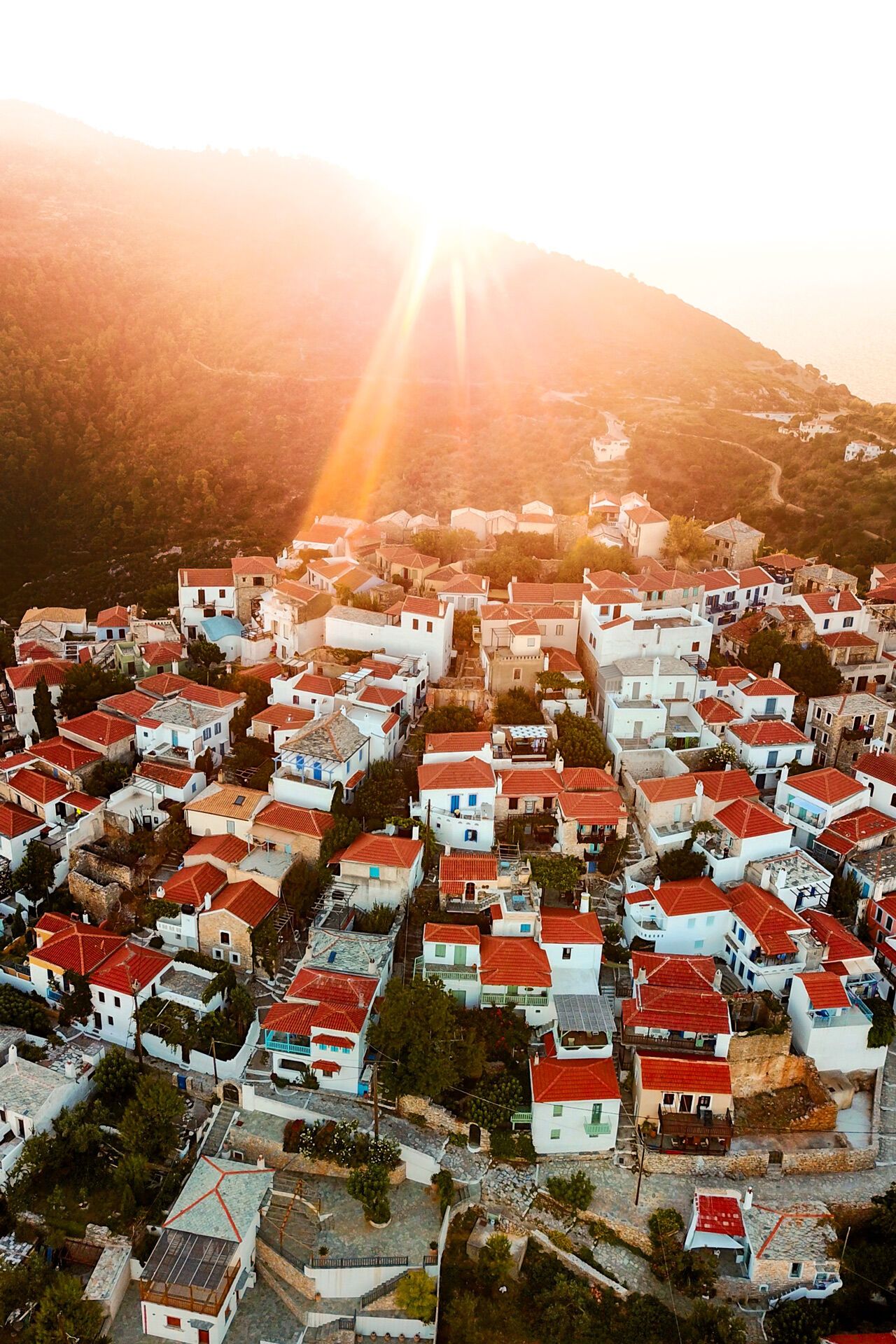 Alonissos | Vacanze a Tessaglia e Sporadi | Discover Greece