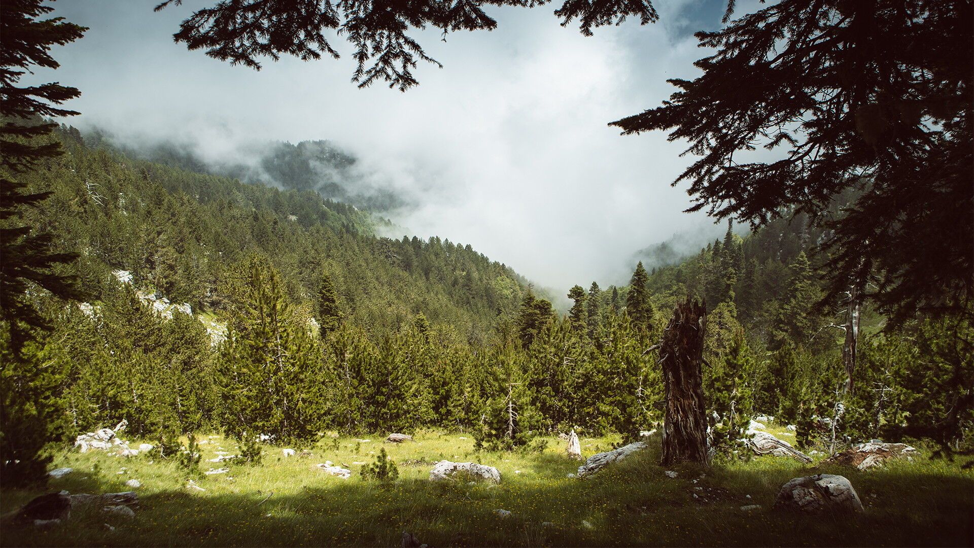 8 top things to do on Mt Olympus| Discover Greece