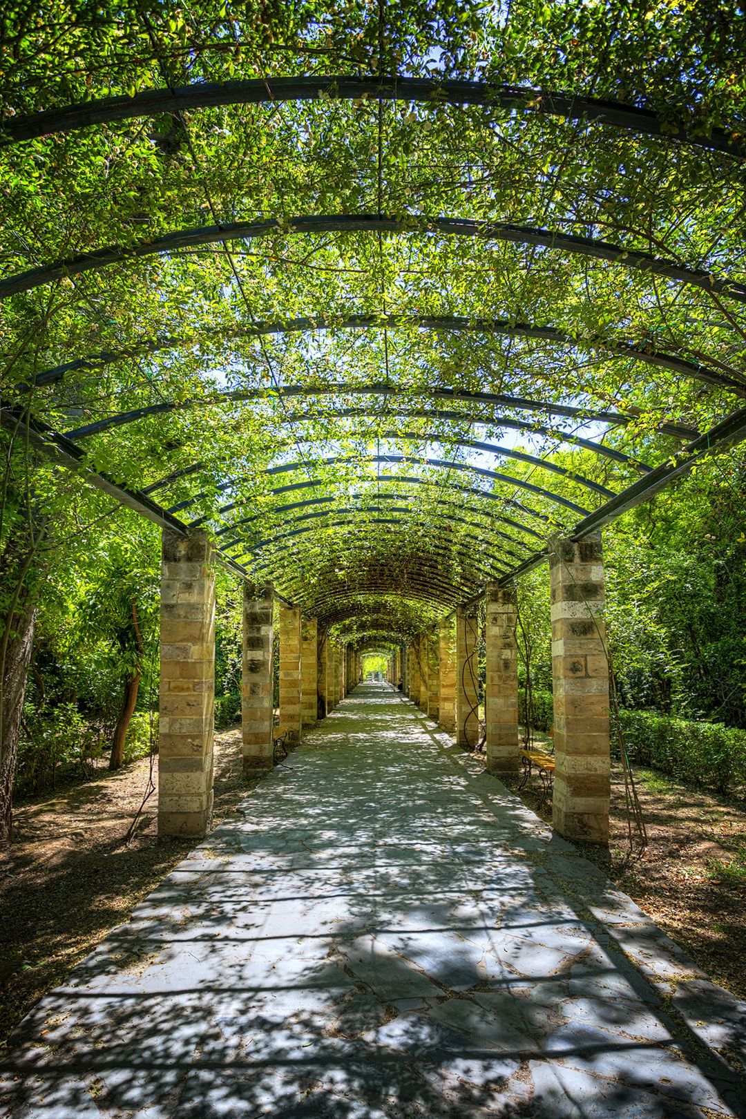 Fill your lungs with the unexpected green spaces of Athens | Discover ...