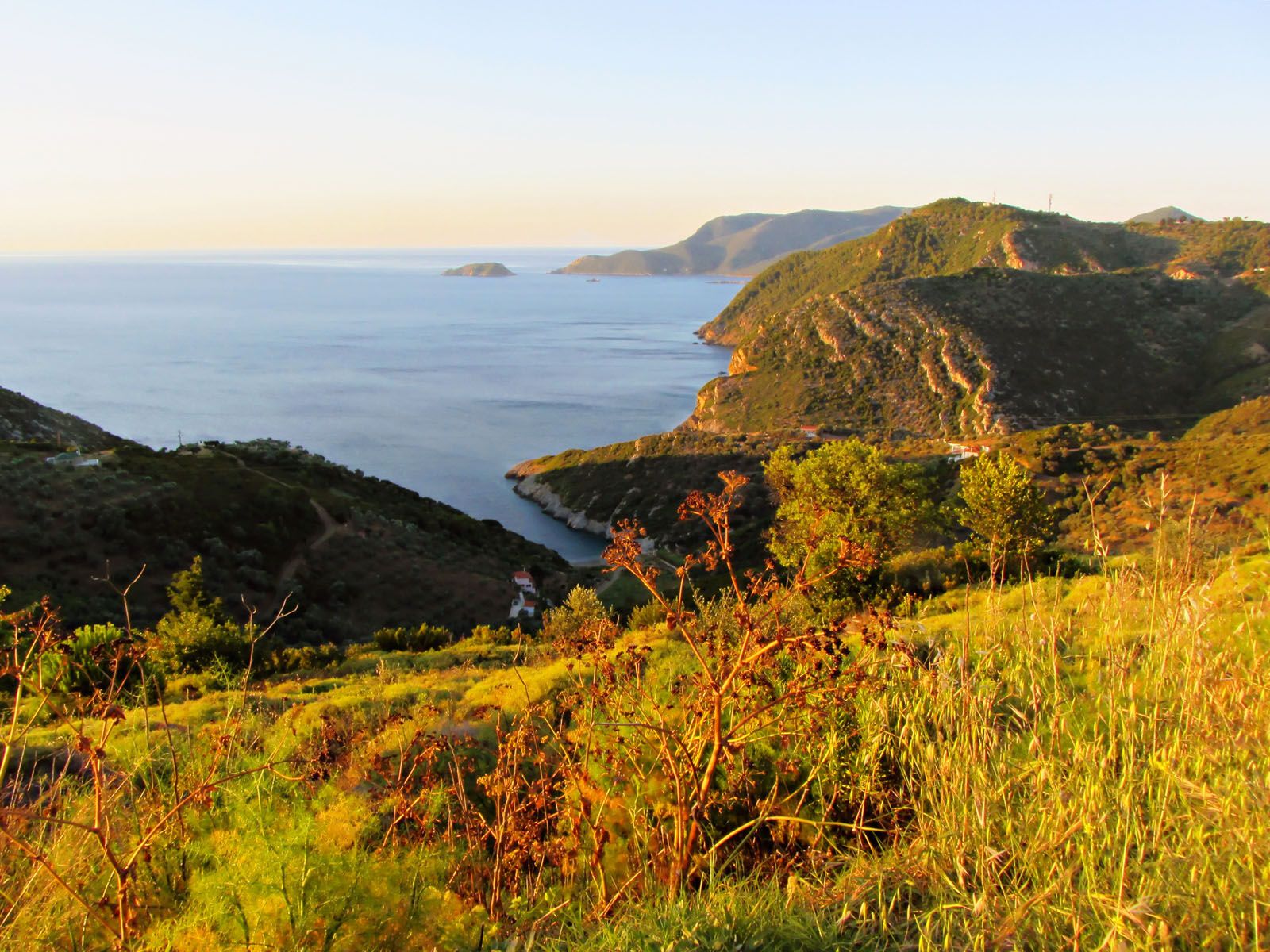 Alonissos | Vacances à Thessalie et Sporades | Discover Greece
