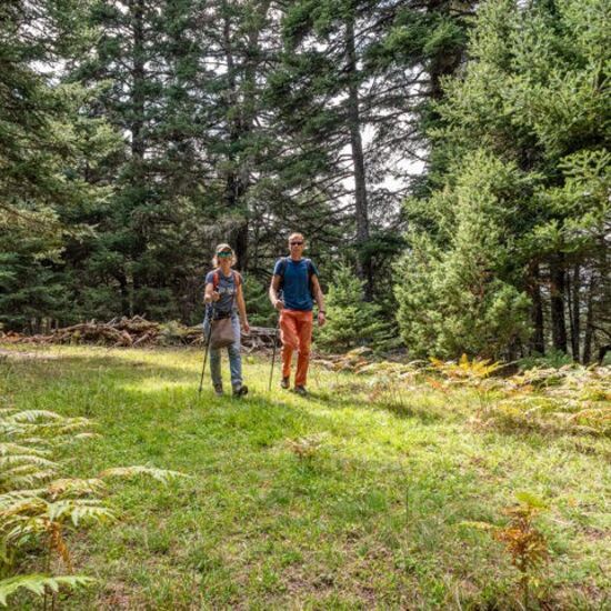 Book online: Escursione al Parco Nazionale del Monte Parnaso | Discover ...