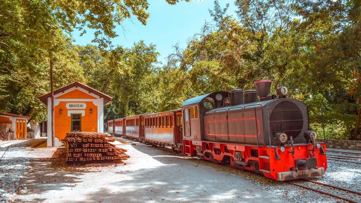 The experiences I had in Greece defined my future | Discover Greece Blog